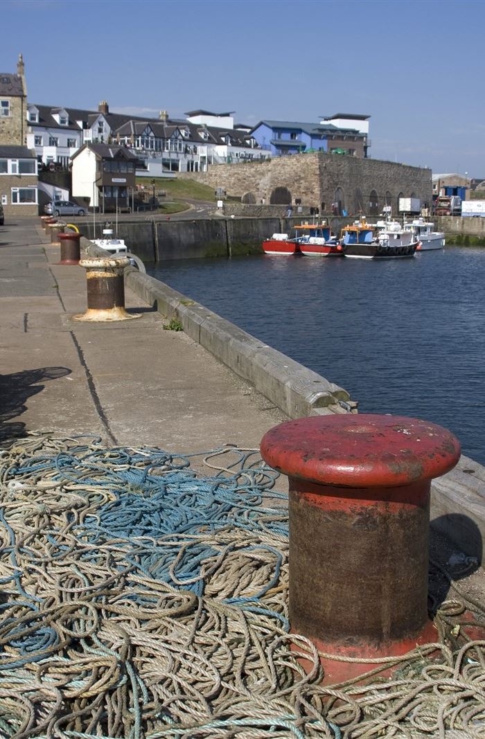 Seahouses campsites | Best camping in Seahouses, Northumberland