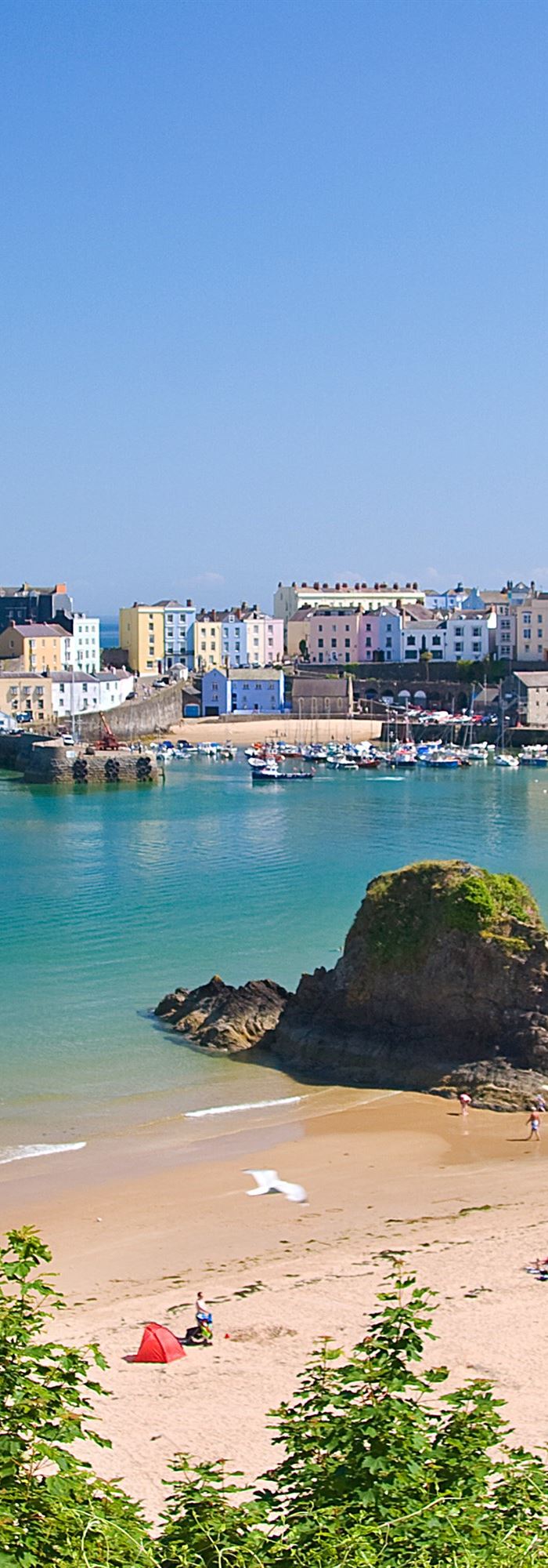Tenby campsites | Best camping in Tenby, Pembrokeshire