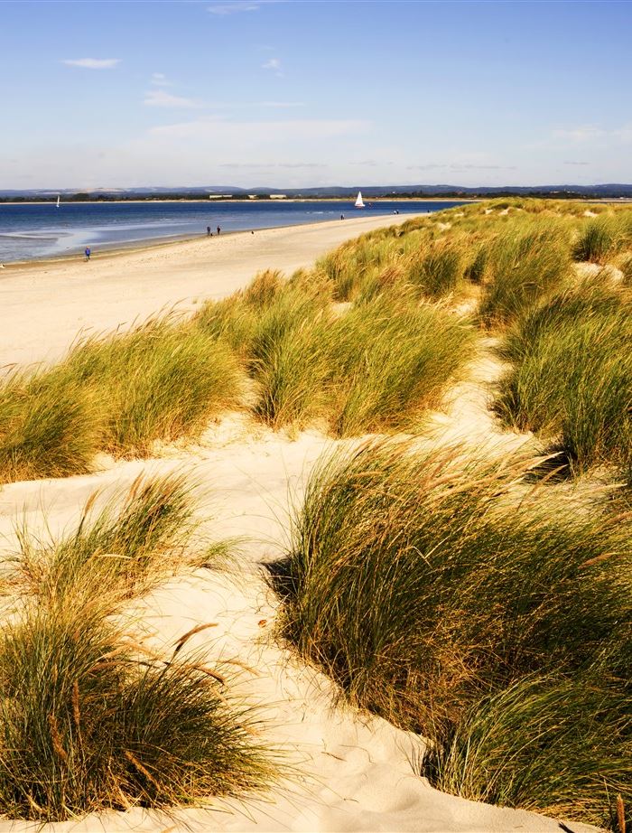 West Wittering campsites | Best camping in West Wittering, Sussex